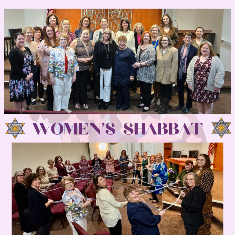 Home - Temple Beth Torah